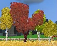 Seasonal Foliage | ZooBerry